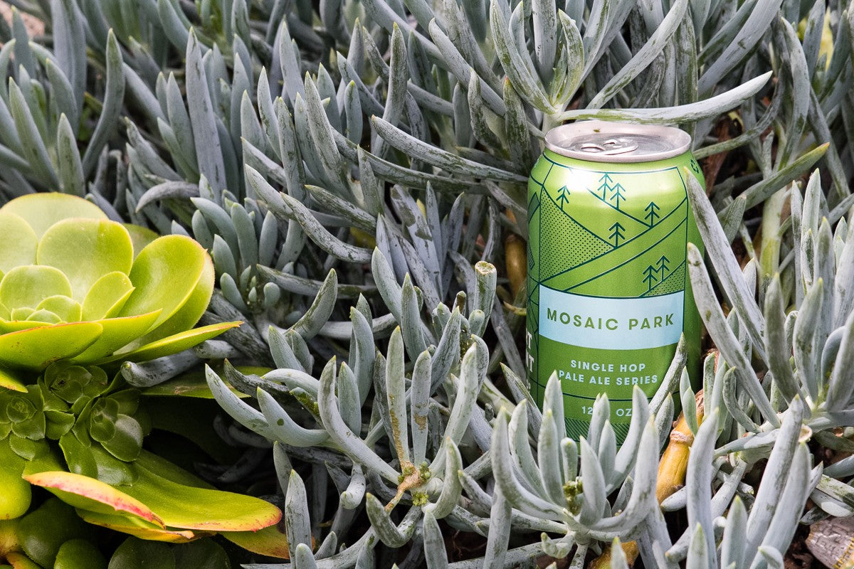 Goldilocks Grows Up: The Evolution of Fort Point Park Beer – Fort Point ...