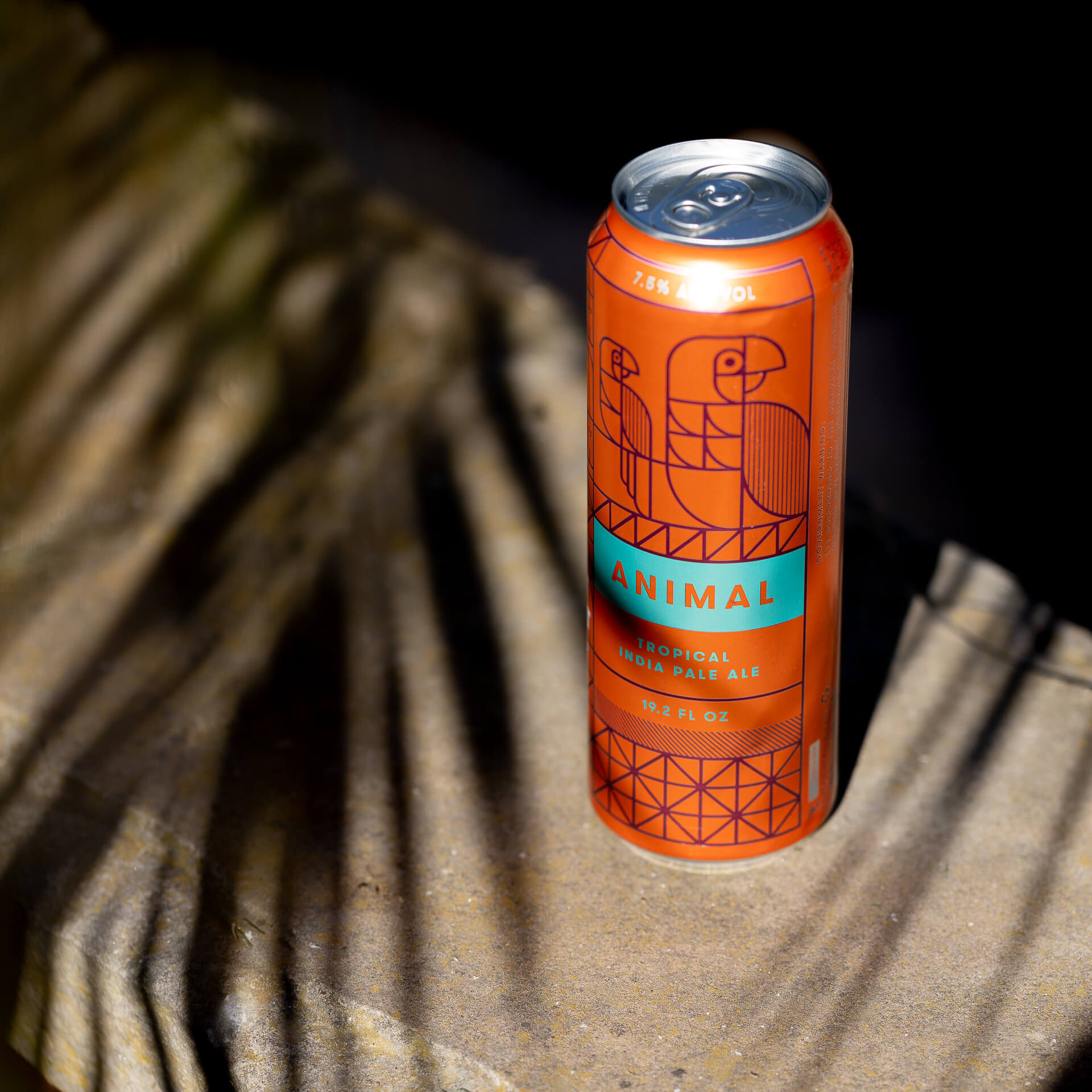 Animal Tallboys 12-Pack — Fort Point Beer Co. – Fort Point Beer Company